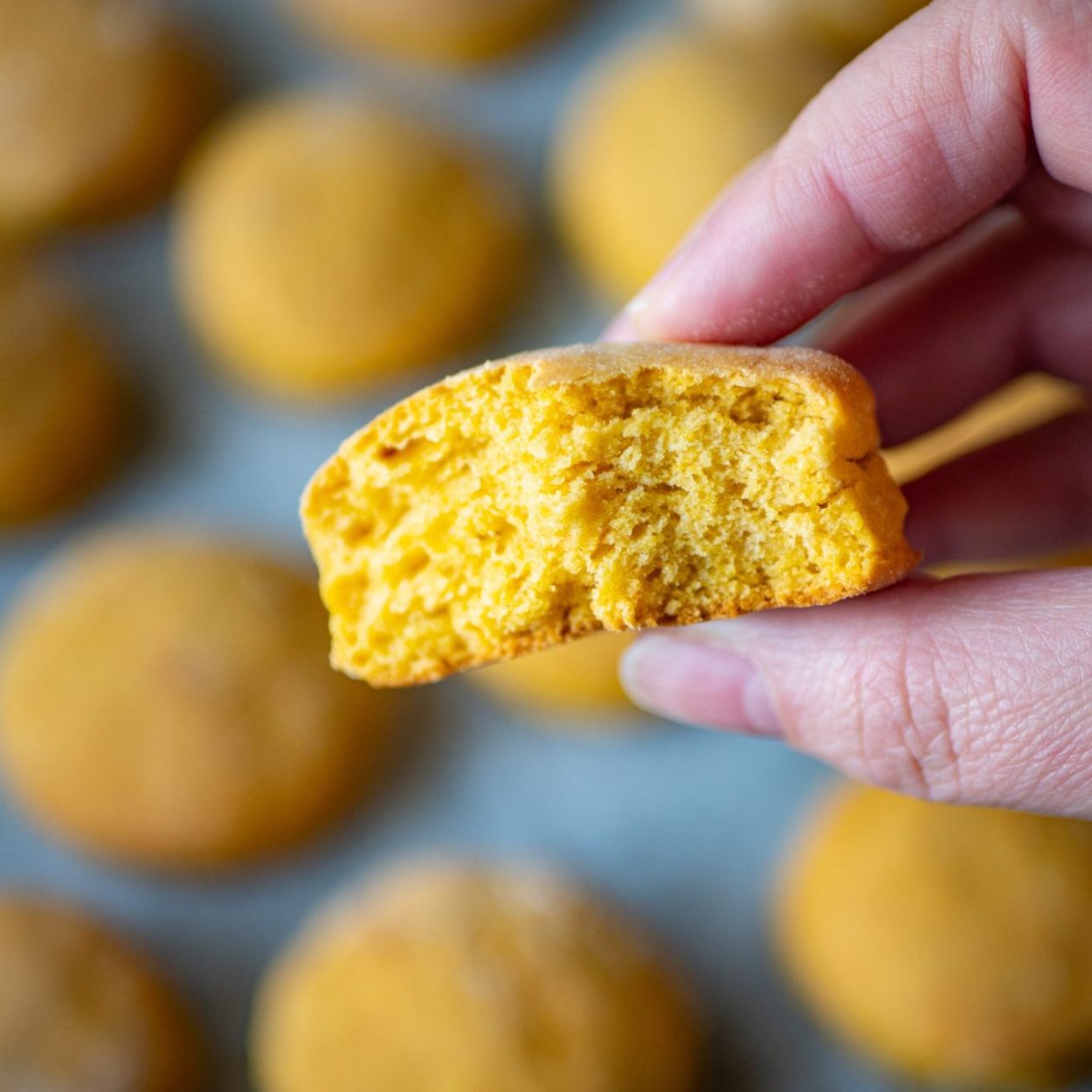 Mbatata - DUMPLINGS & MORE